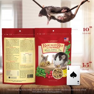 10 Best Rat Foods 2024: According to Reviews | Chewy