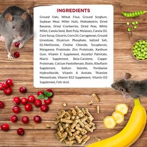 10 Best Rat Foods 2024: According to Reviews | Chewy