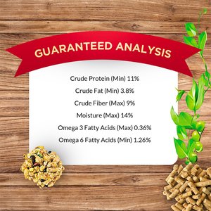 10 Best Rat Foods 2024: According to Reviews | Chewy