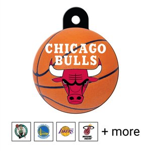 QUICK-TAG NFL Football Personalized Dog & Cat ID Tag, Large, Pittsburgh ...