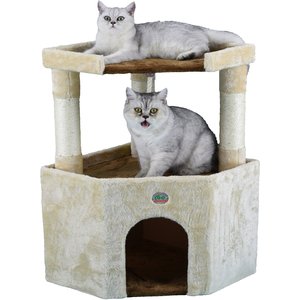 10 Best Medium Cat Trees & Towers 2024: According to Reviews | Chewy