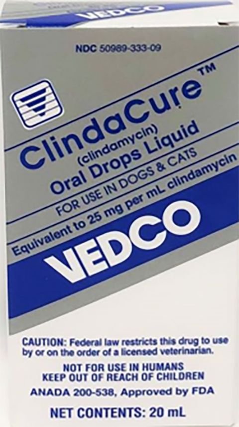 CLINDACURE (Clindamycin Hydrochloride) Oral Drops for Dogs & Cats, 20 ...