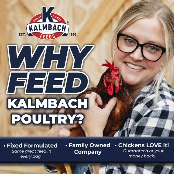 KALMBACH FEEDS All Natural 9% Protein Chicken Supplement, 25-lb block ...