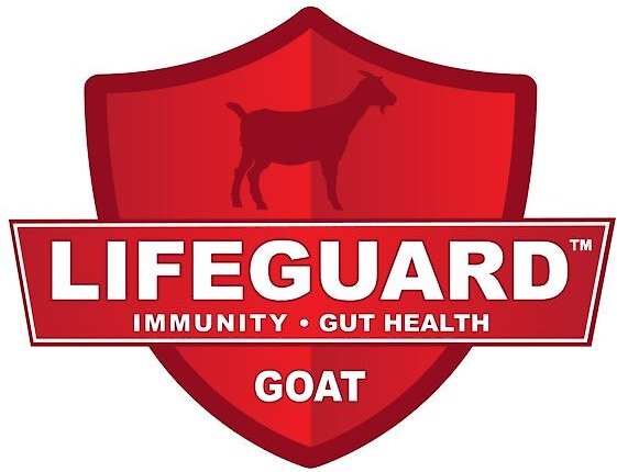 KALMBACH FEEDS Body Builder Goat Feed, 50-lb bag - Chewy.com