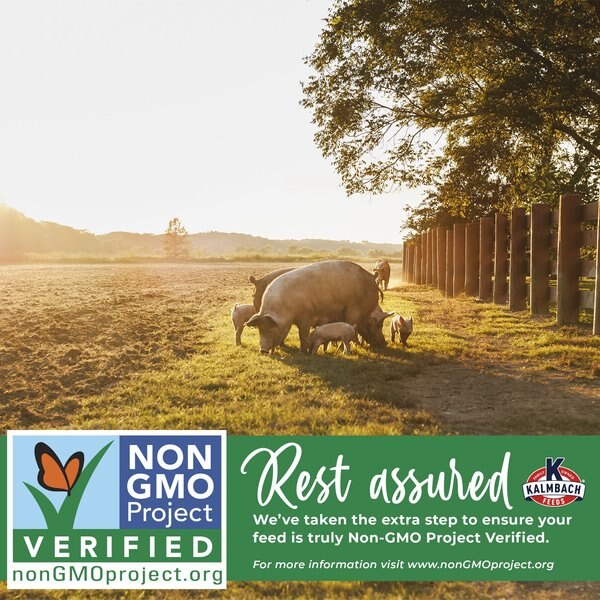 KALMBACH FEEDS Family Fixin's Non-GMO Sow Pellet Pig Feed, 50-lb bag ...