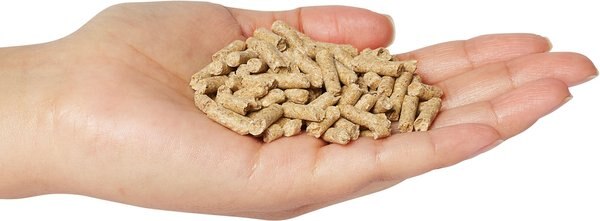 KALMBACH FEEDS 14% Stocker Grower Cattle Feed, 50-lb bag - Chewy.com