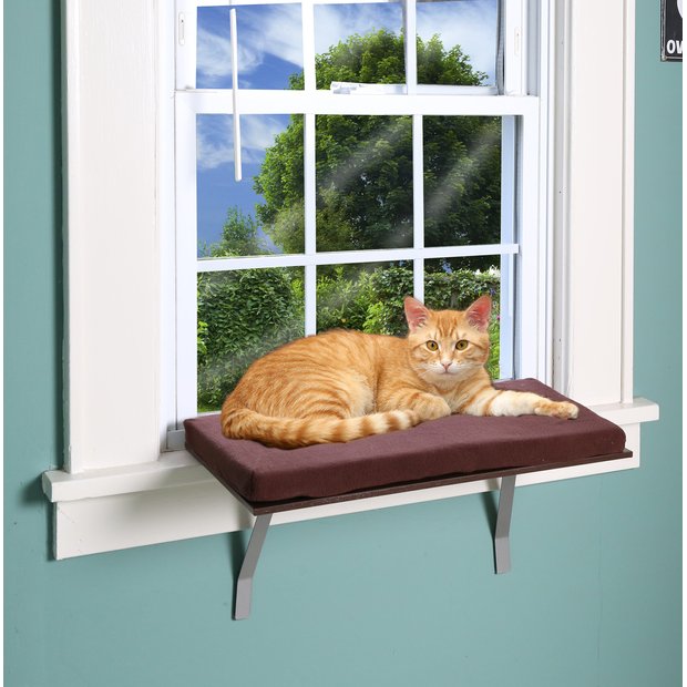 Cat Window Perches: Best Cat Perch Prices (Free Shipping) | Chewy