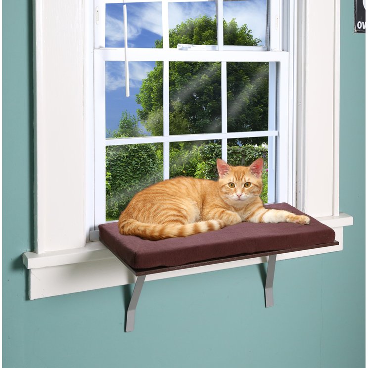 Cat Window Perches: Best Cat Perch Prices (Free Shipping) | Chewy