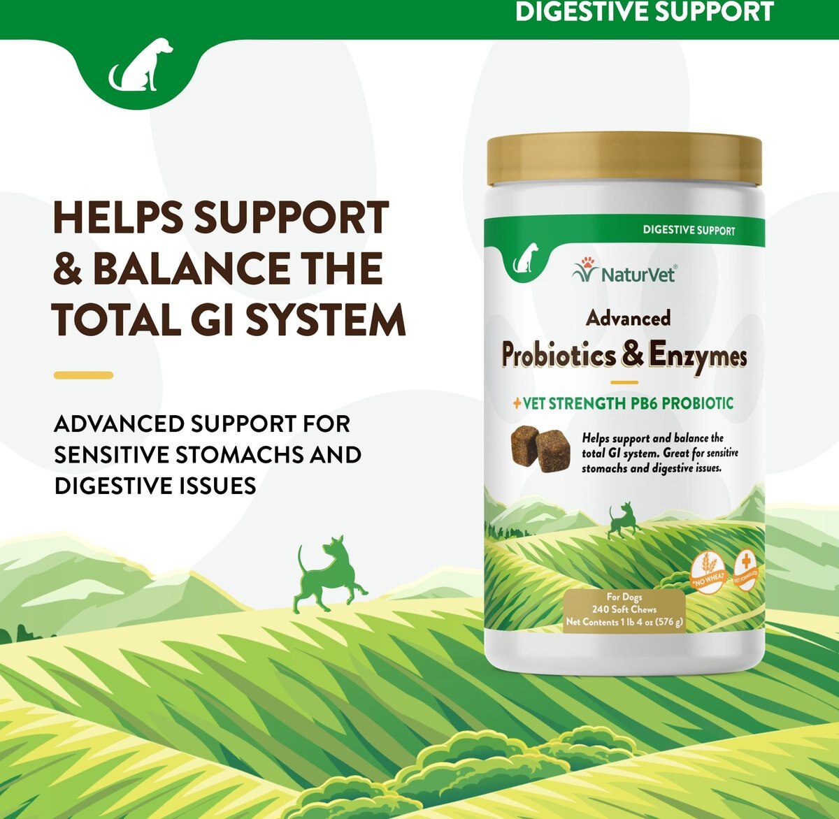 NATURVET Advanced Probiotics & Enzymes Plus Vet Strength PB6 Probiotic ...