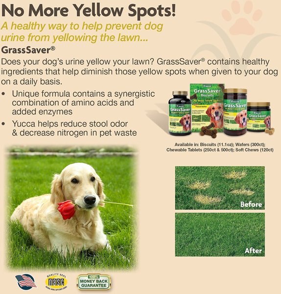NATURVET GrassSaver Plus Enzymes Soft Chews Urinary & Lawn Protection ...