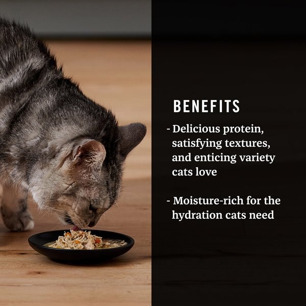 AMERICAN JOURNEY Landmark Broths Chicken, Carrots & Pumpkin Recipe Wet ...