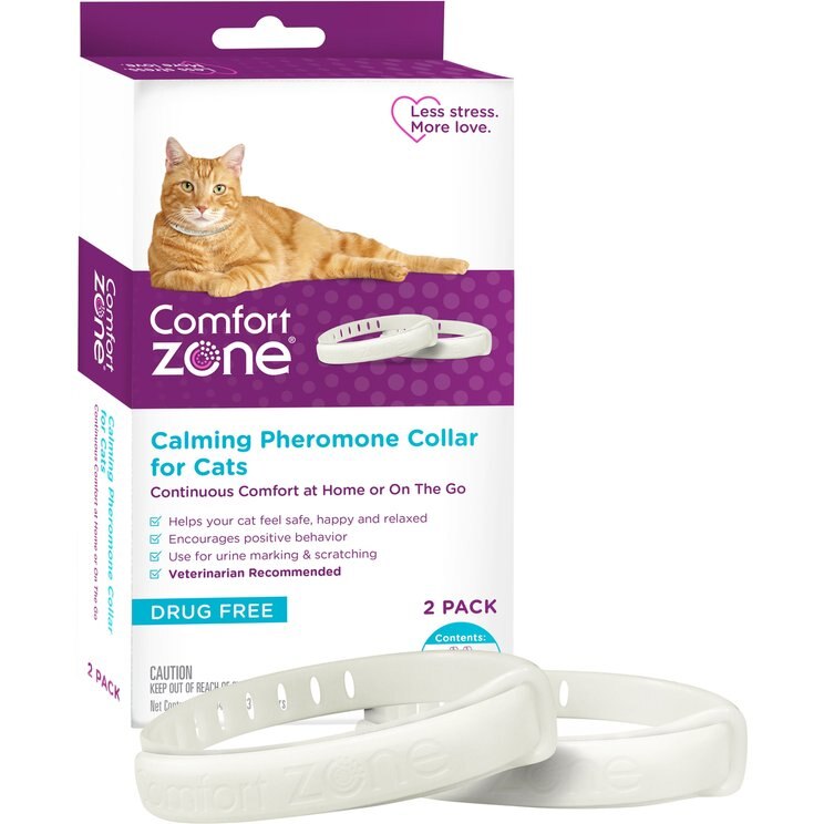 Cat Anxiety & Calming Care - Free shipping | Chewy