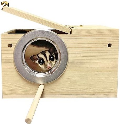 EXOTIC NUTRITION Small Animal Nest Box, Small - Chewy.com