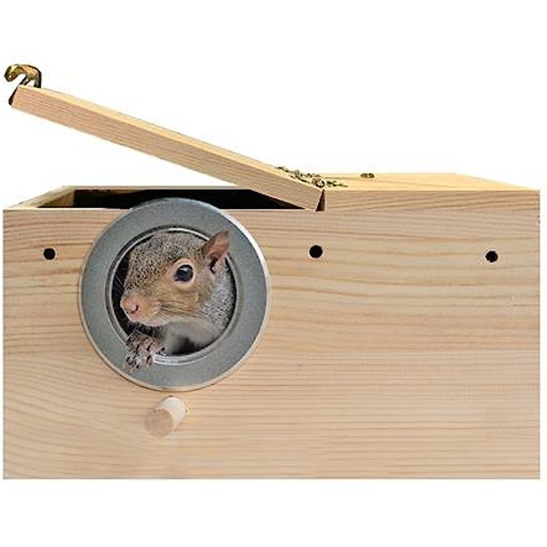 EXOTIC NUTRITION Small Animal Nest Box, Medium - Chewy.com