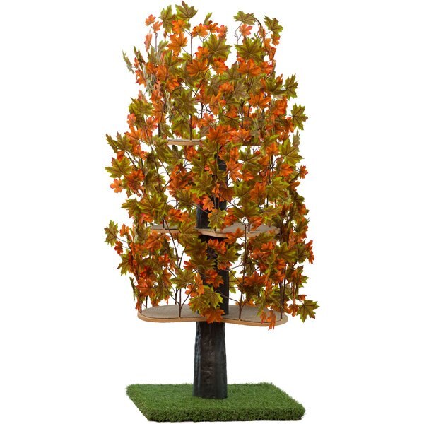 ON2PETS 60-in Large Square Modern Cat Tree, Summer - Chewy.com