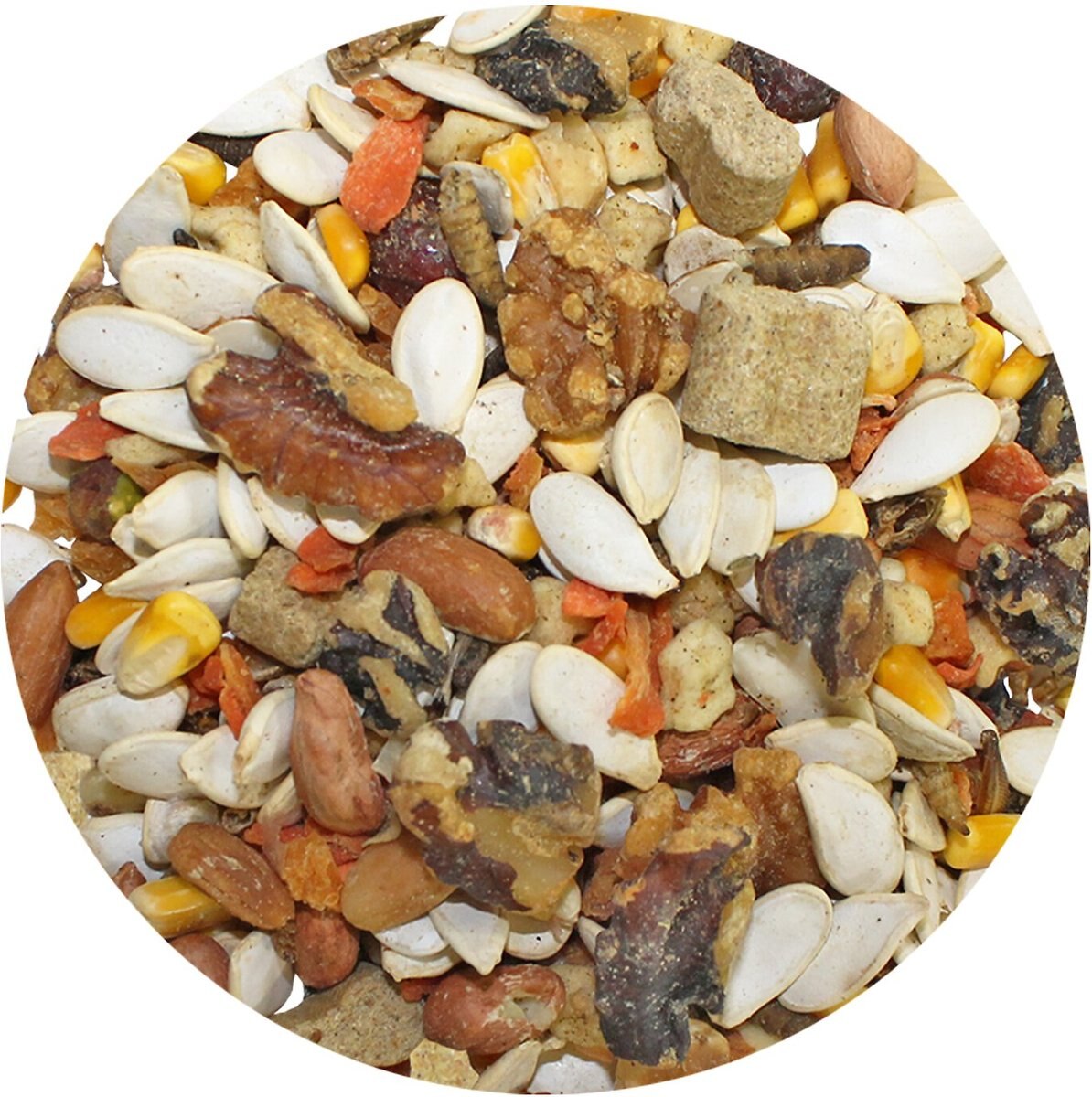 EXOTIC NUTRITION Squirrel Complete Squirrel Food, 1.75-lb bag - Chewy.com