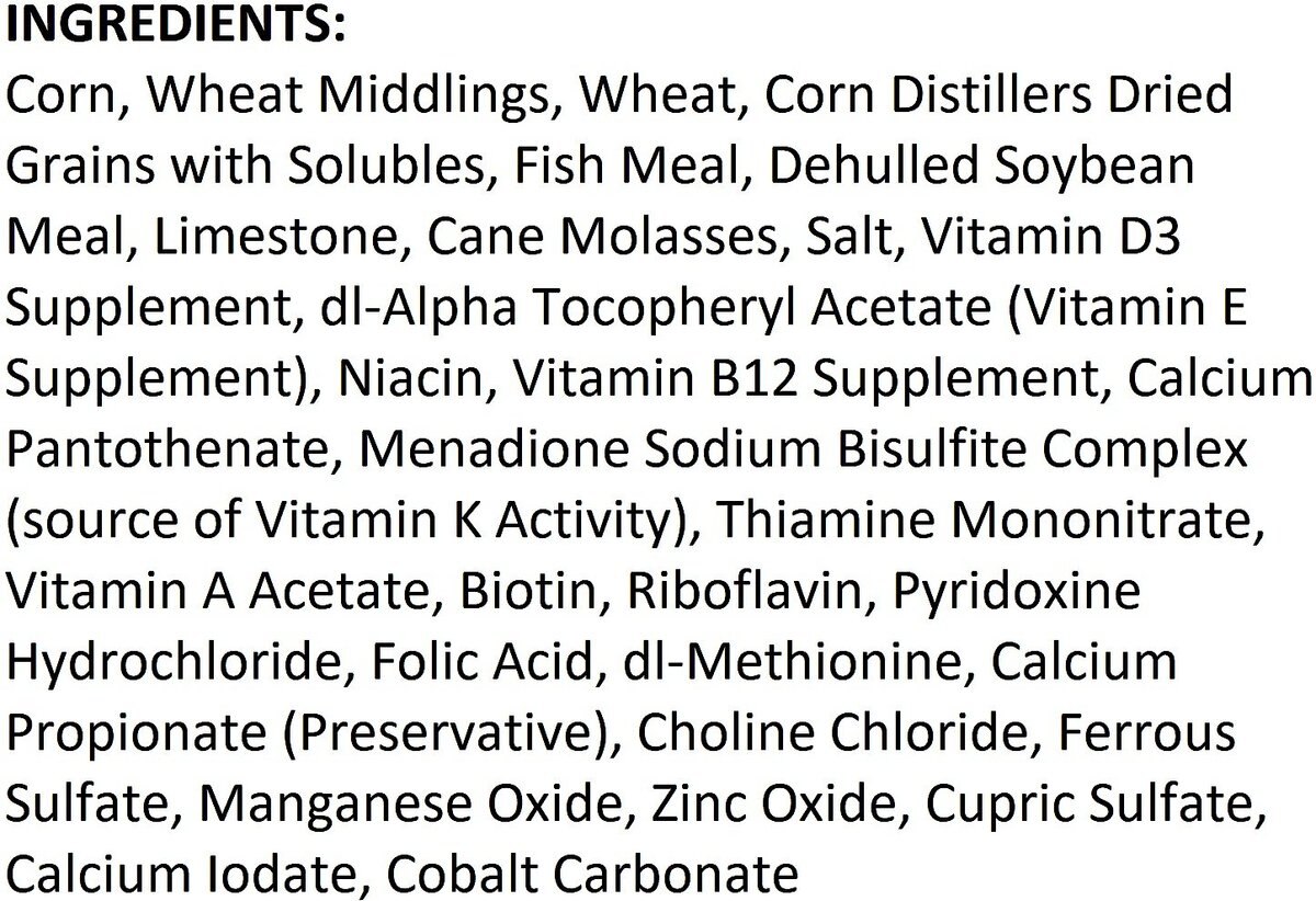 EXOTIC NUTRITION Rodent Blocks Small Animal Food, 1-lb bag - Chewy.com