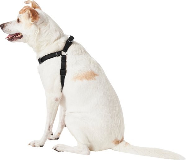 FRISCO Polyester Step In Back Clip Dog Harness, Black, Medium: 20 to 30 ...