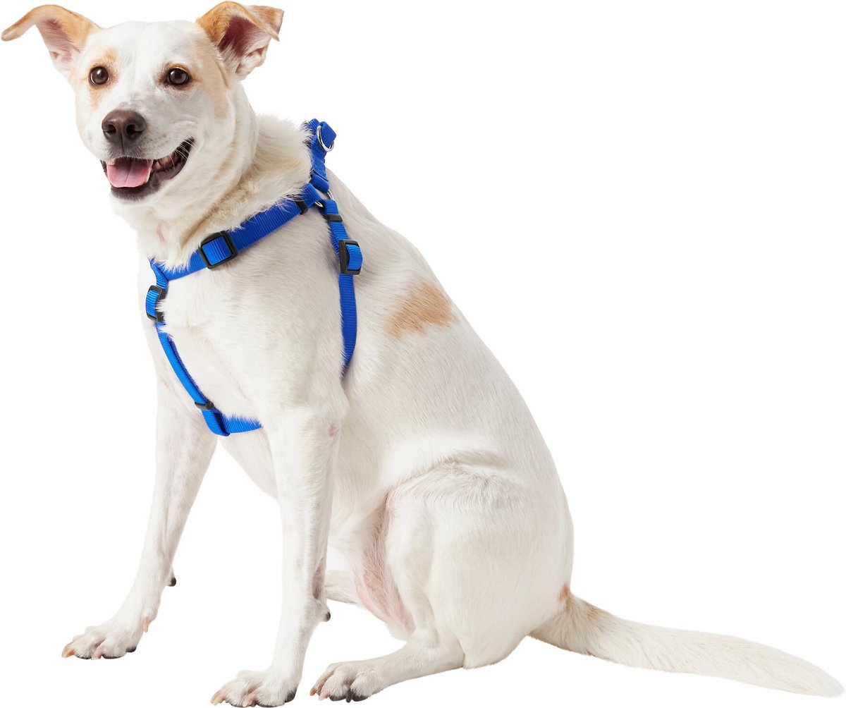 FRISCO Step In Back Clip Dog Harness, Blue, Medium: 20 to 30-in chest ...