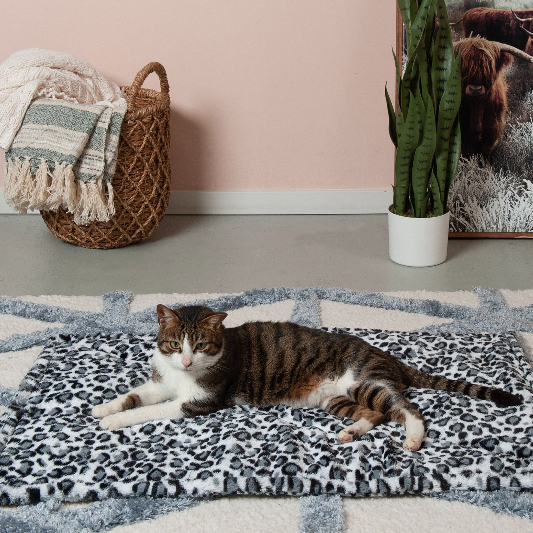 FURHAVEN ThermaNAP Faux Fur Self-Warming Dog & Cat Mat, Snow Leopard ...