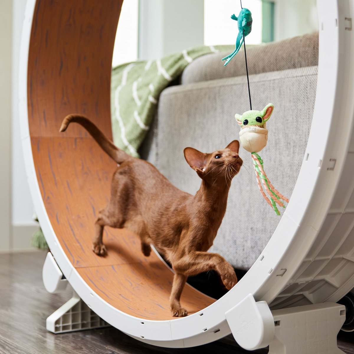 STAR WARS THE MANDALORIAN GROGU Teaser Wand Cat Toy with Catnip - Chewy.com