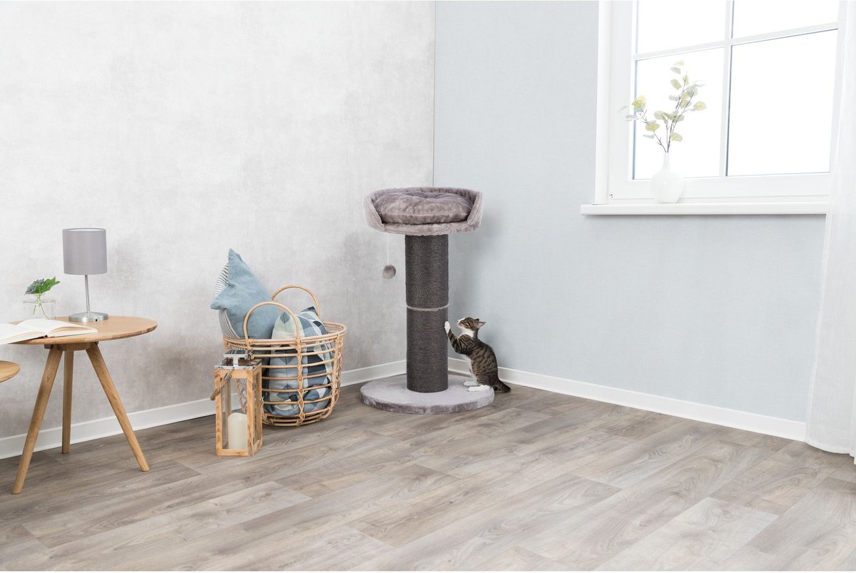 TRIXIE Pepino 35-in Plush Platform Cat Scratching Post - Chewy.com