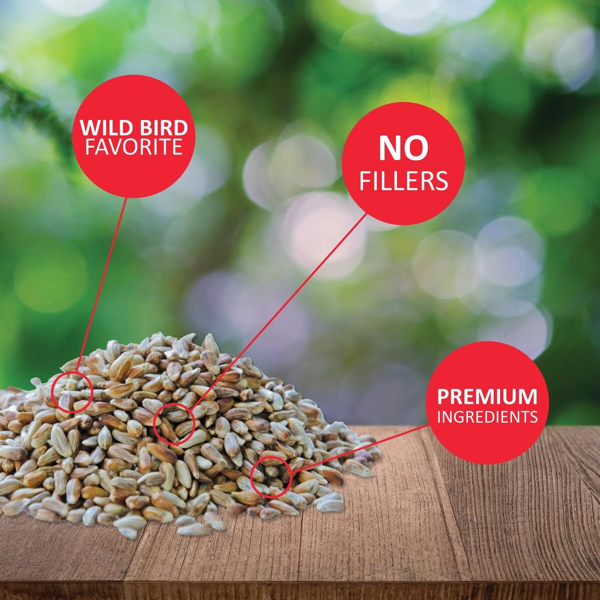 LYRIC Golden Safflower Seed Wild Bird Food, 12-lb bag - Chewy.com