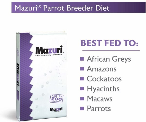 MAZURI Breeder Parrot Food, 25-lb Bag - Chewy.com