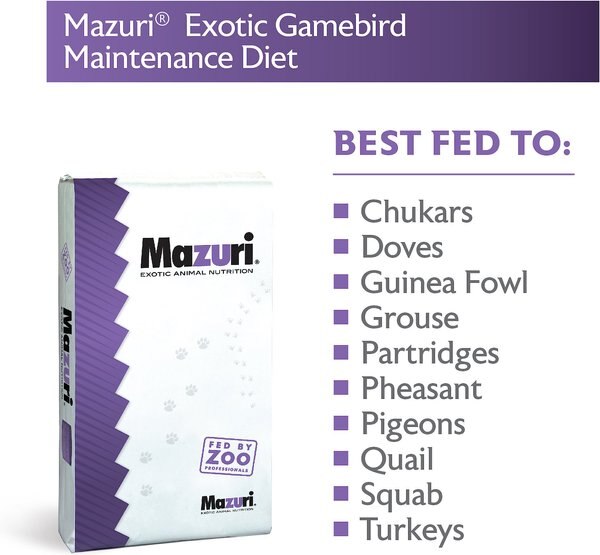 MAZURI Exotic Gamebird Maintenance Food, 40-lb bag - Chewy.com