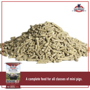 10 Best Feeds for Pigs & Hogs 2025: According to Reviews | Chewy