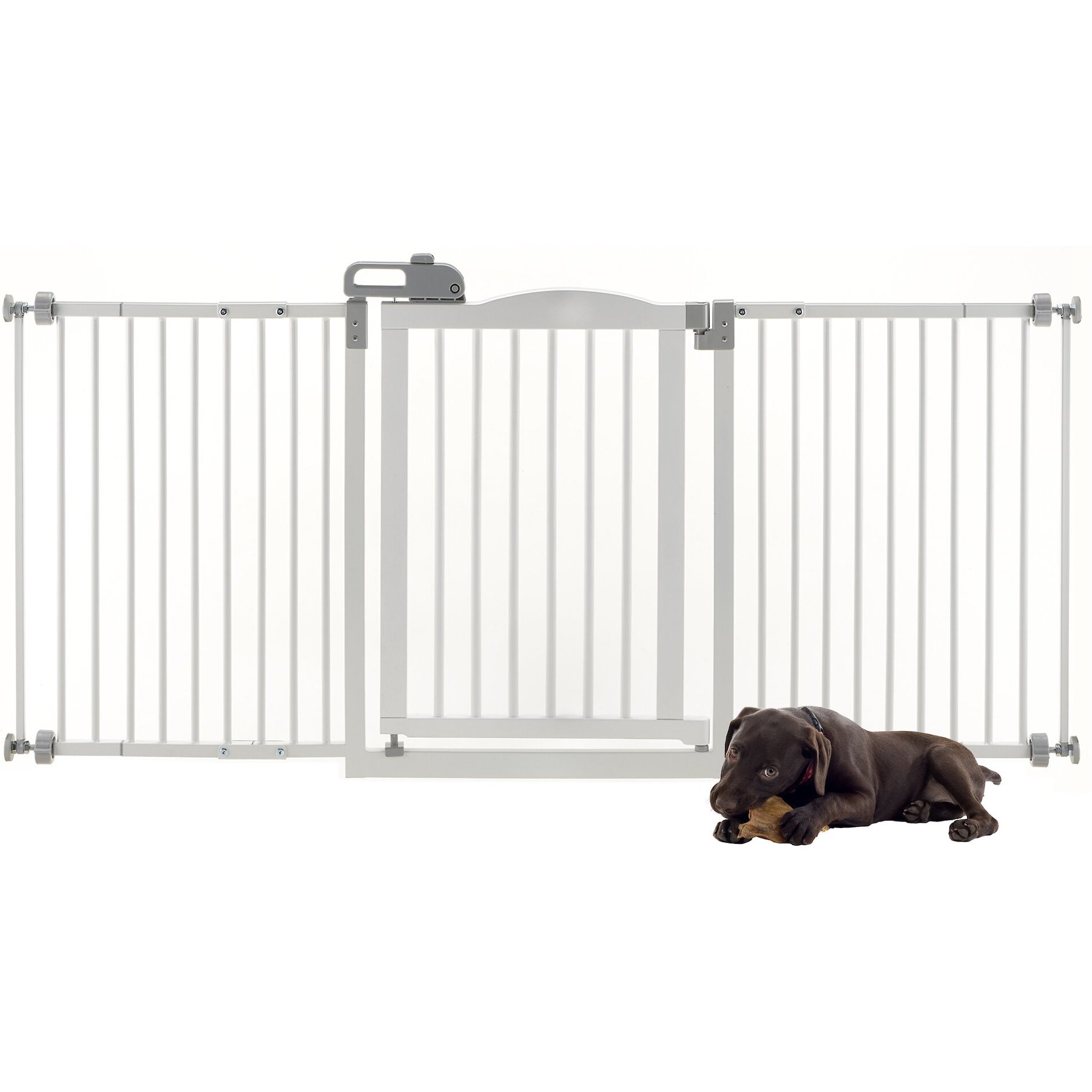 RICHELL One-Touch Wide Dog Gate II, White - Chewy.com