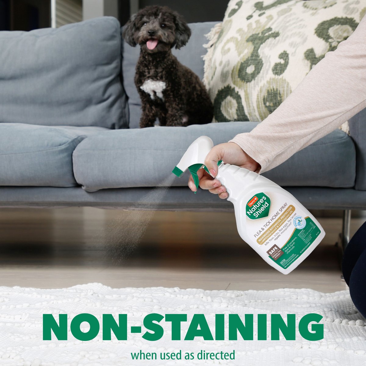 HARTZ Nature's Shield Natural Flea & Tick Home Spray - Chewy.com