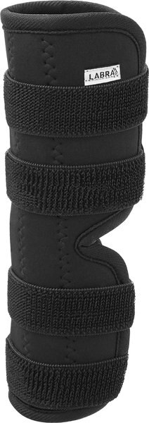 LABRA Extra Supportive Dog Hock Brace, Large - Chewy.com