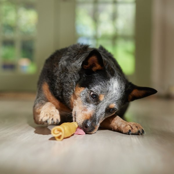 BONES & CHEWS Water Buffalo Cheek Rolls Dog Chew, 5 count - Chewy.com