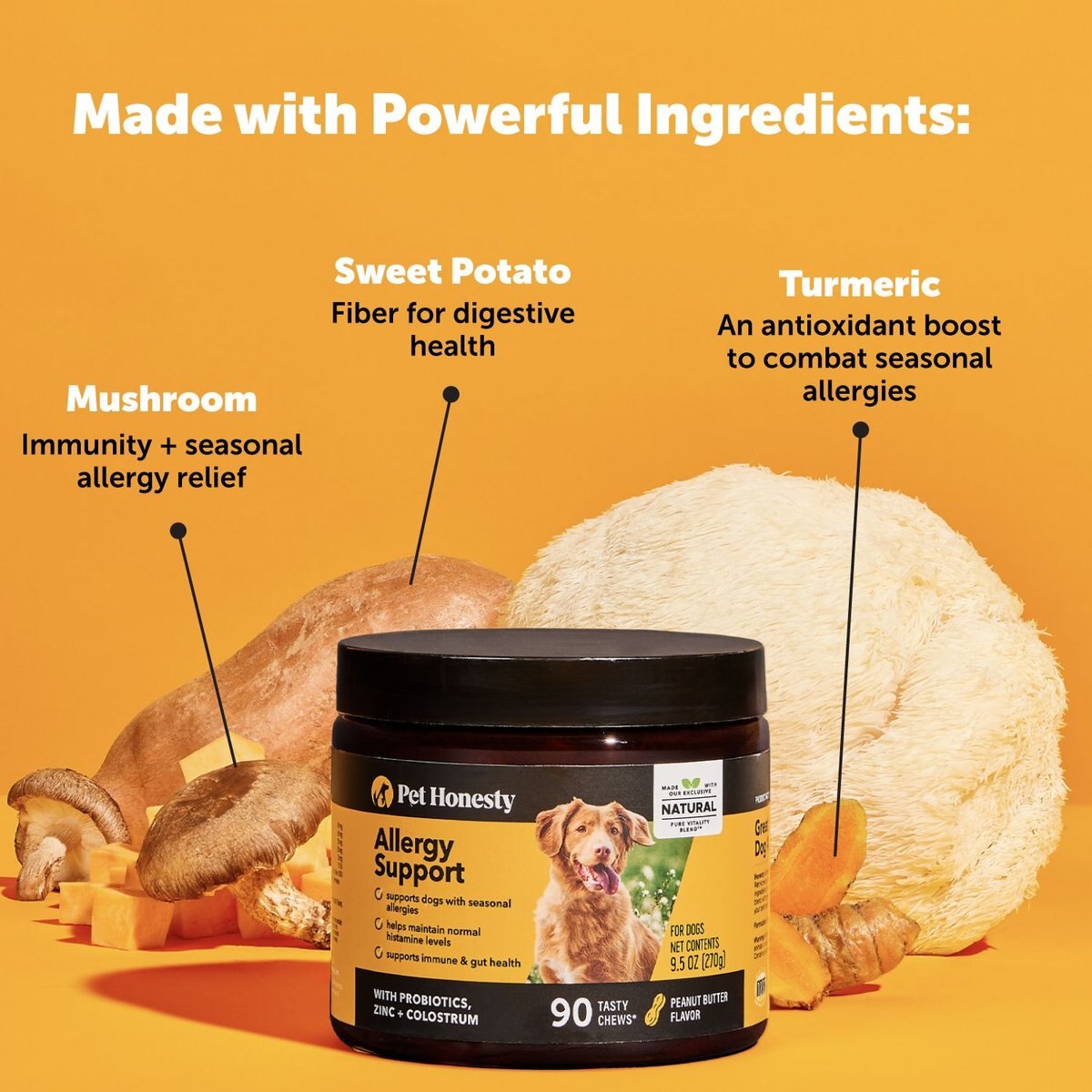 PETHONESTY Allergy Support Peanut Butter Allergy, Immune & Itchy Skin Relief Supplement for Dogs ...