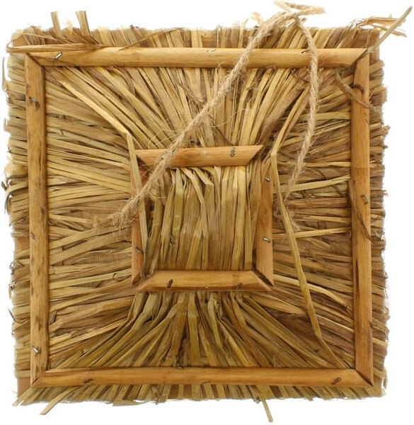 Temporarily Unavailable - ZINGZ & THINGZ Beachcomber Bird House - Chewy.com