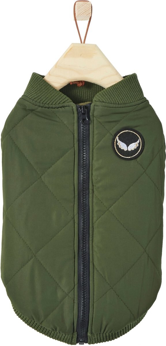 Out of Stock - FRISCO Lightweight Insulated Bomber Dog & Cat Jacket, Olive, Large - Chewy.com