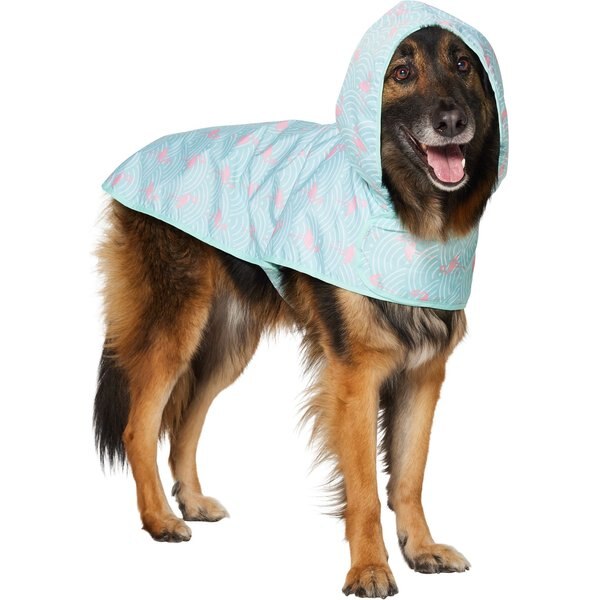 10 Best German Shepherd Puppy Apparel 2025: According to Reviews | Chewy