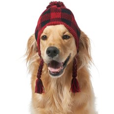 DOG HATS FOR LARGE DOGS (Free Shipping) | Chewy