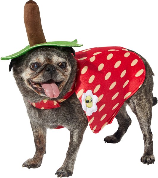 Floaties For Adults Rubie's Ring Bearer Pillow Pet Costume - Wedding ...