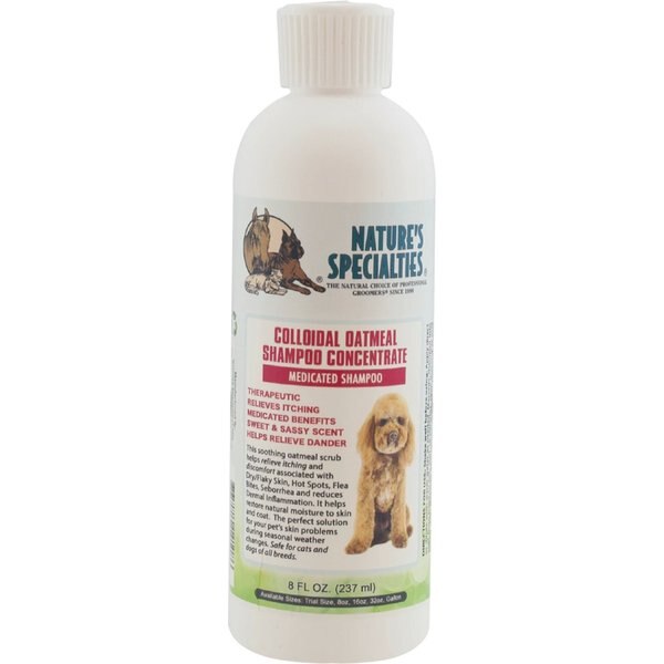 NATURE'S SPECIALTIES Colloidal Oatmeal Medicated Dog Shampoo ...