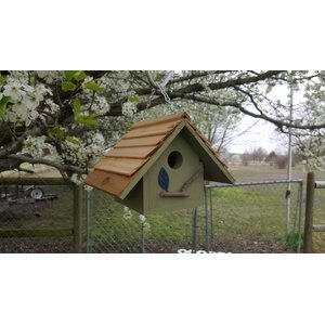10 Best Bird Houses 2024: According to Reviews | Chewy