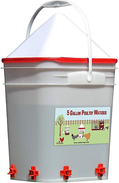 RENTACOOP Round 6-Port Chicken Waterer with No-Roost Cap, 5-gallon ...
