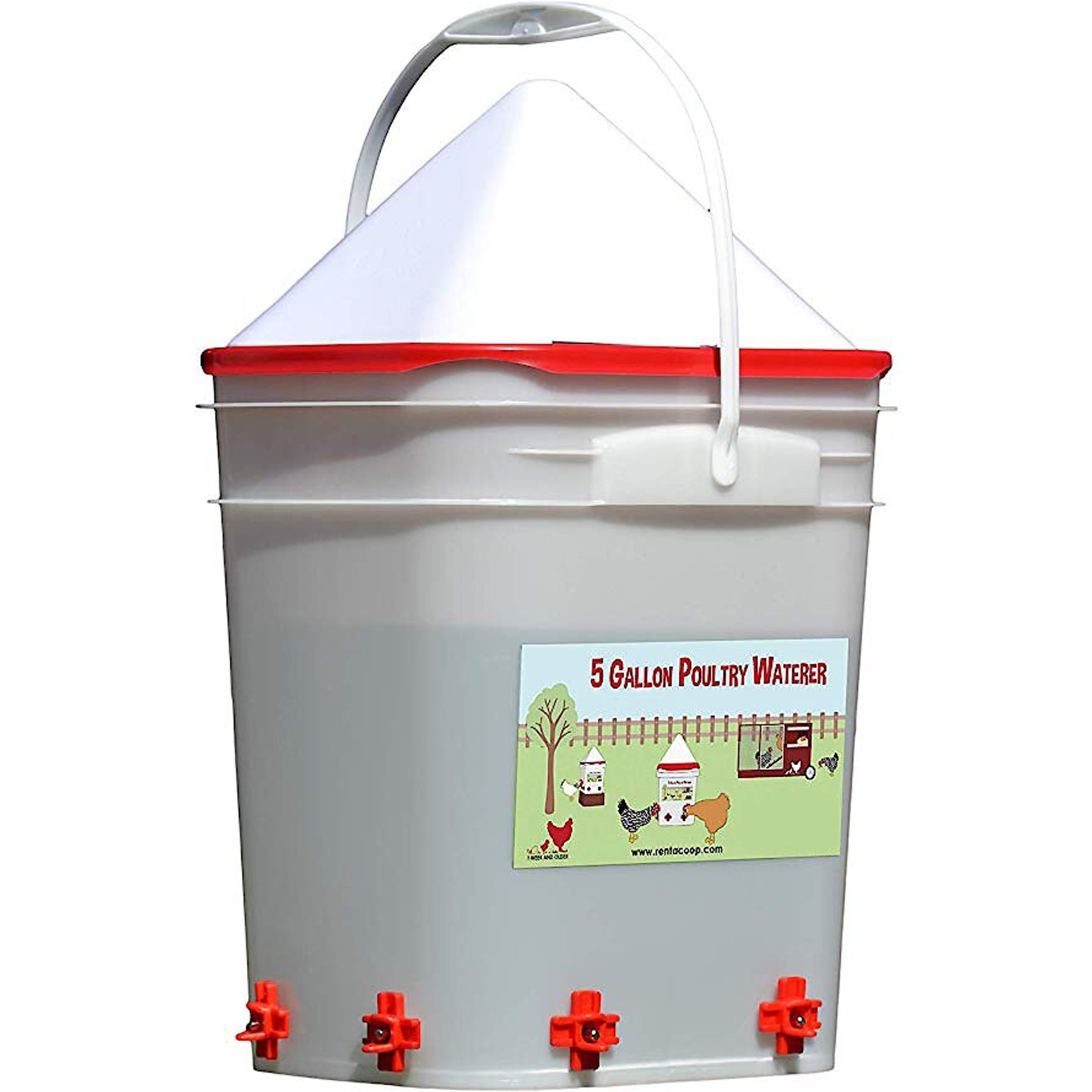 RENTACOOP Round 6-Port Chicken Waterer with No-Roost Cap, 5-gallon ...