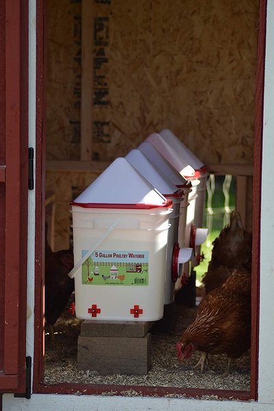 Discontinued - RENTACOOP Round 6-Port Chicken Waterer with No-Roost Cap ...