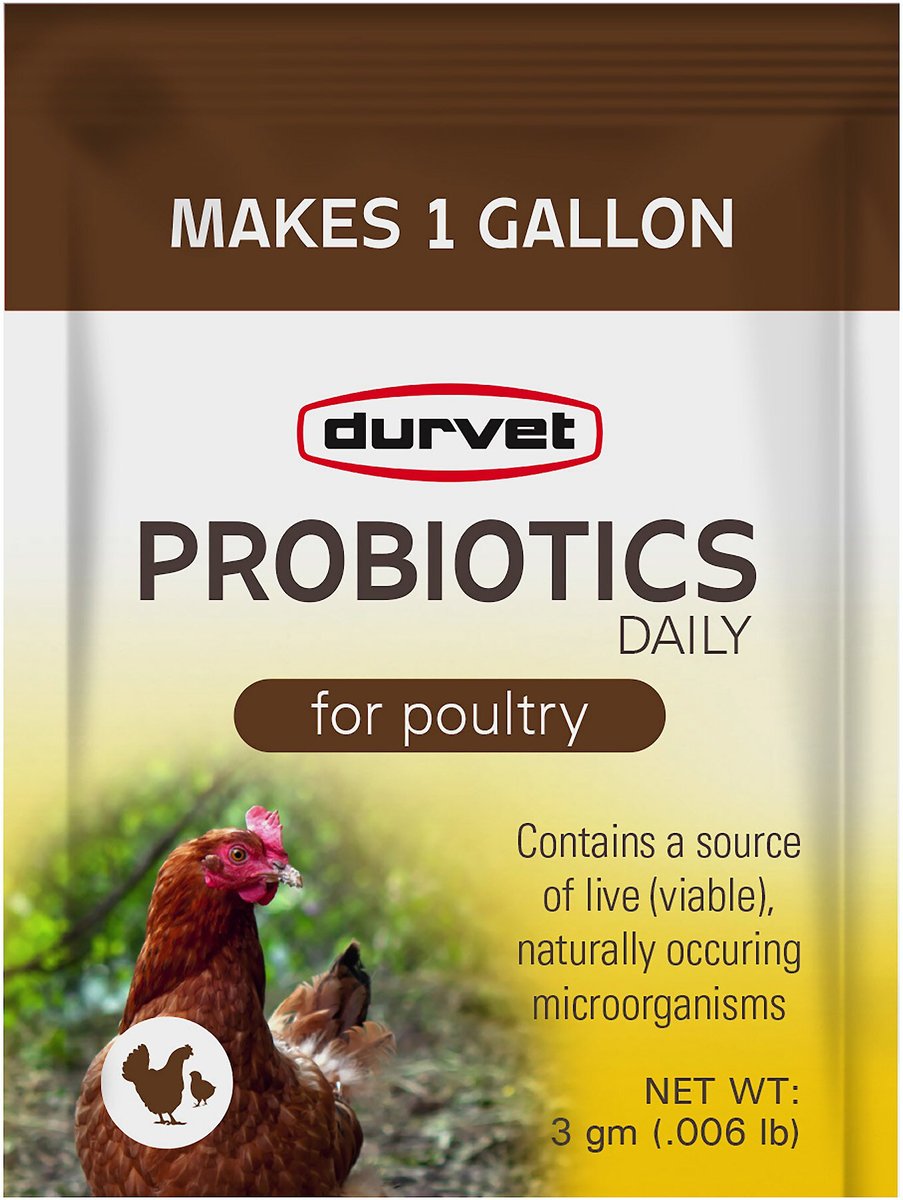 DURVET Probiotics Daily Poultry Supplement, 3-g, 40 count - Chewy.com