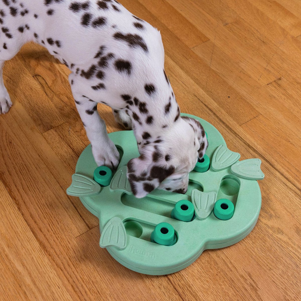 NINA OTTOSSON BY OUTWARD HOUND Dog Hide N Slide Dog Toy, Green - Chewy.com