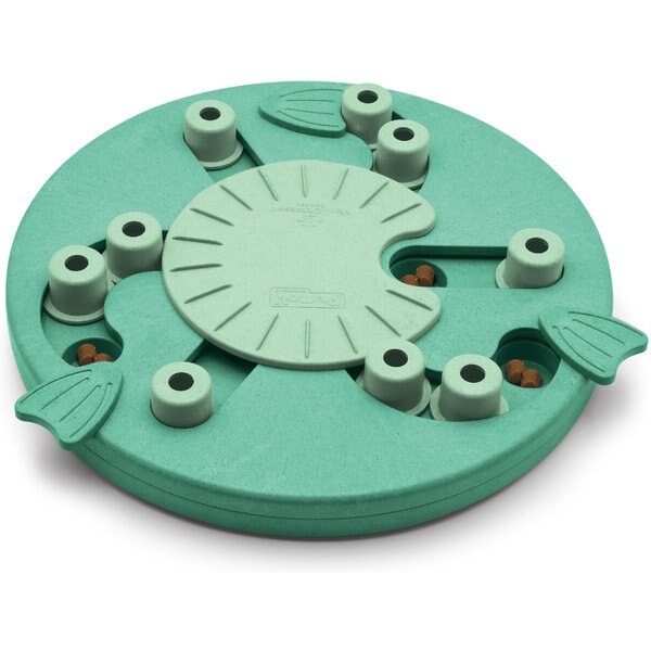 FLUENTPET Tester Kit Learning Cat & Dog Toy, Assorted - Chewy.com