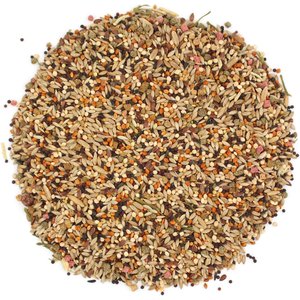 10 Best Canary Foods 2025: According to Reviews | Chewy