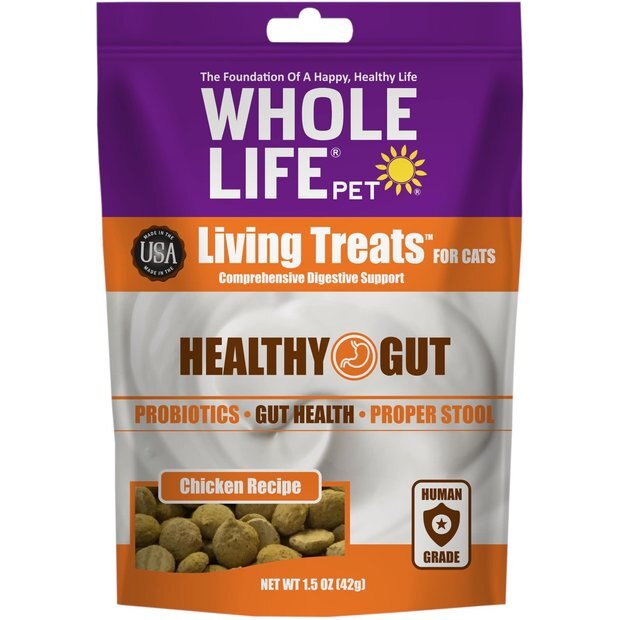 Healthy Treats For Cats (Free Shipping) | Chewy
